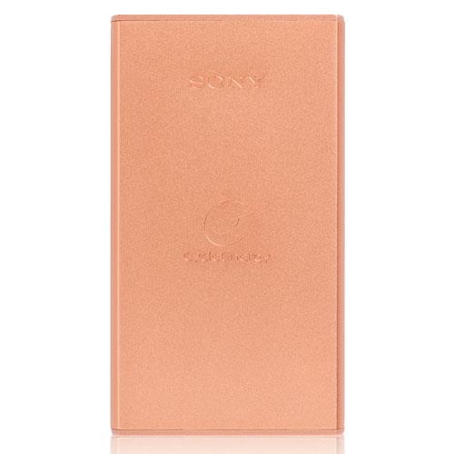 SONY 5000mAh CP-S5/ST名片型行動電源(咖啡)-行動電源專館 - EcLife良興購物網